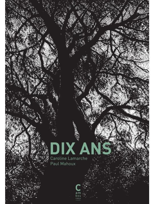 Dix ans de Caroline Lamarche, Paul Mahoux