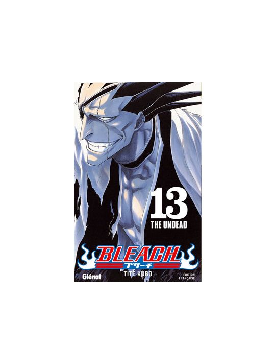 Bleach tome 13
