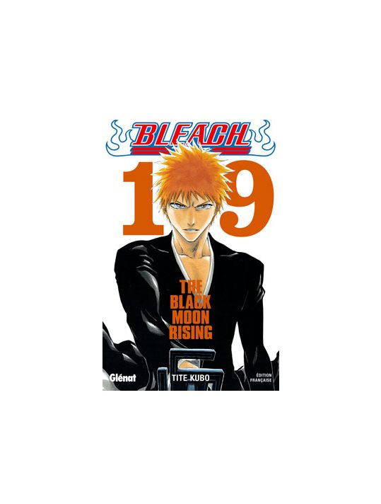 Bleach tome 19