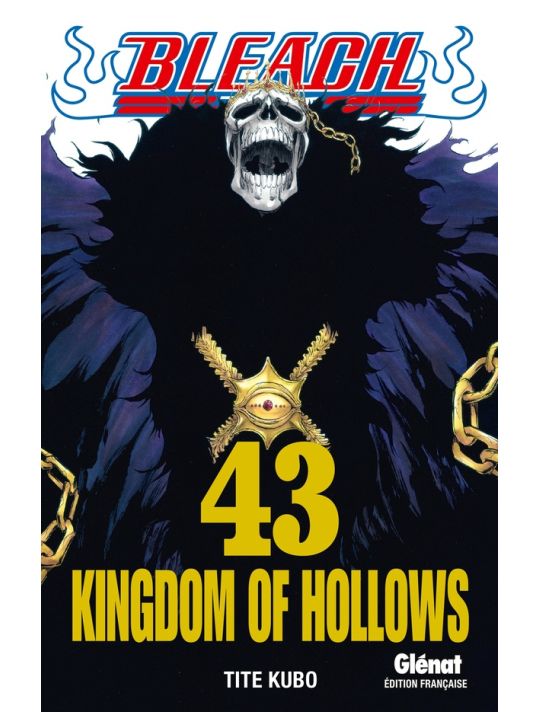 Bleach tome 43