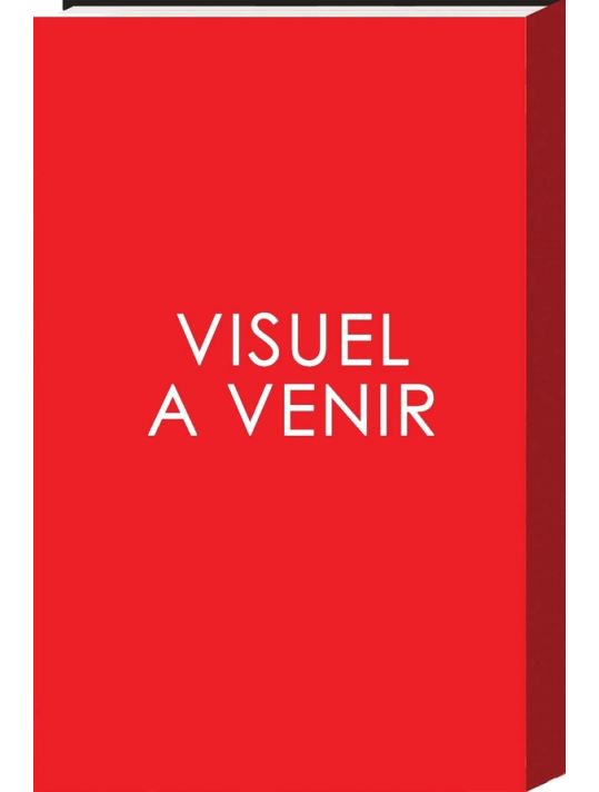 Hokuto no Ken - extreme edition tome 15