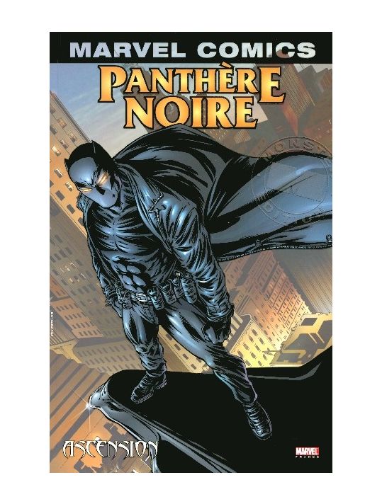 Panthère noire tome 4