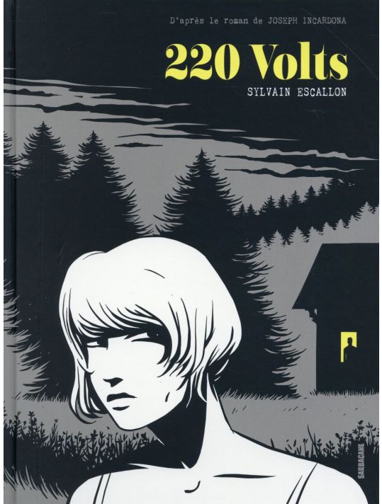 220 volts