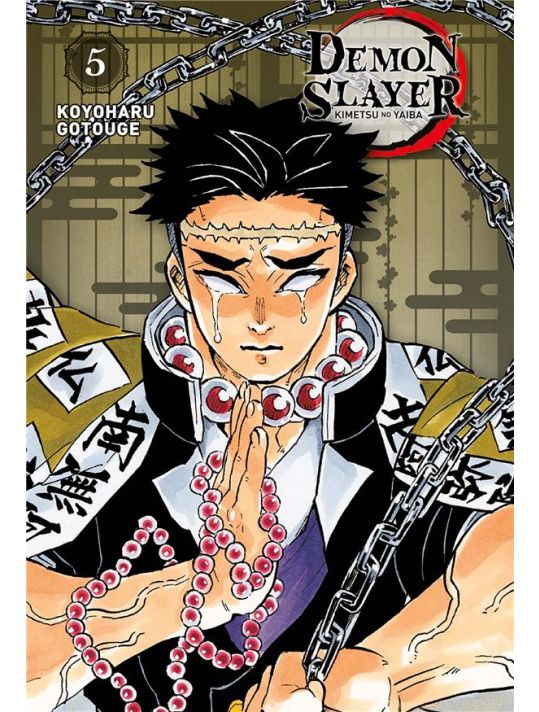 Demon slayer - édition pilier tome 5