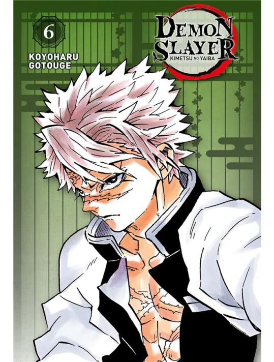 Demon Slayer - édition pilier tome 6
