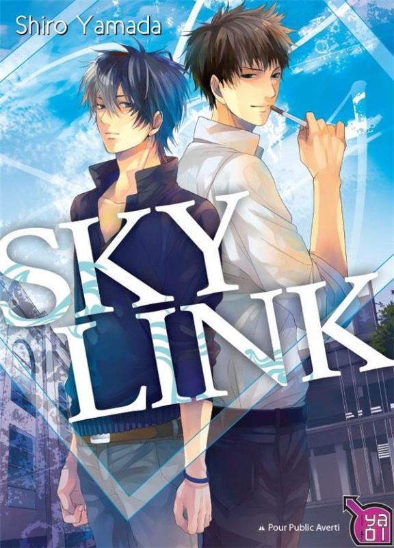 Sky link de Shiro Yamada